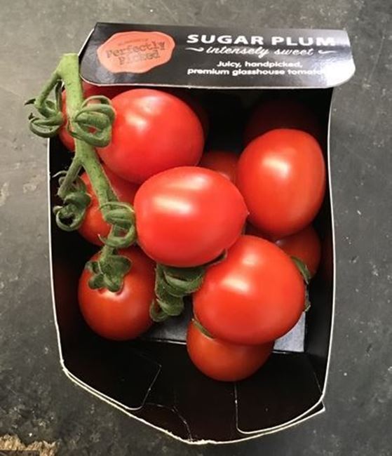 SUGAR PLUM CHERRY TRUSS TOMATO : Victoria Fruit Palace
