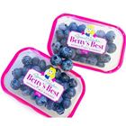 Berries / Grapes : Victoria Fruit Palace